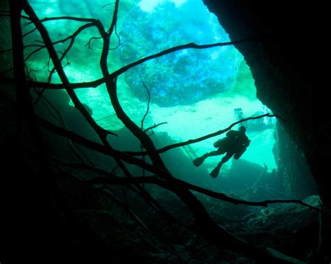 Cave Diving At Peacock Springs Florida State Parks
