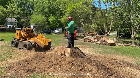 Kellogg Georgia A Hidden Gem In The Peach State Douglas County Tree