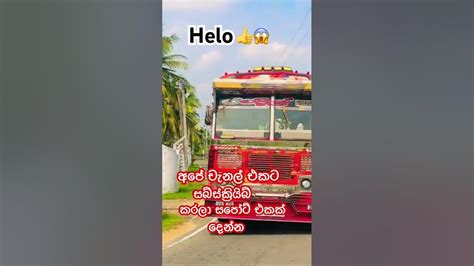 දම් රැජින බස් 👍👍 Youtube