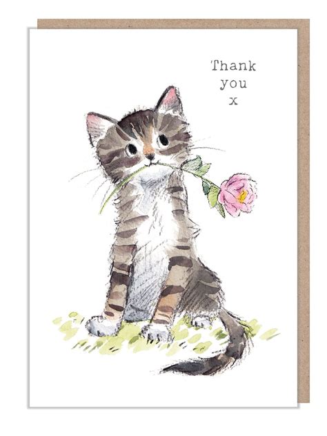 Kitten Thank You Graphics Thank You Cat Images Free Download On