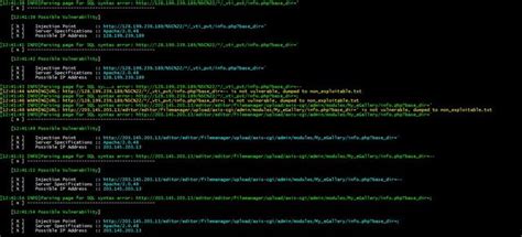 Whitewidow Sql Vulnerability Scanner