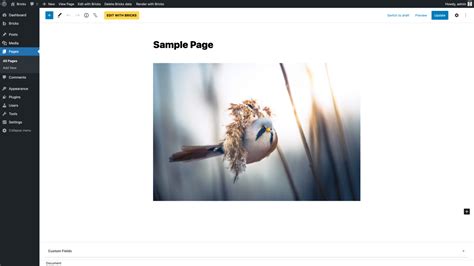 Start Editing With Bricks Bricks Academy