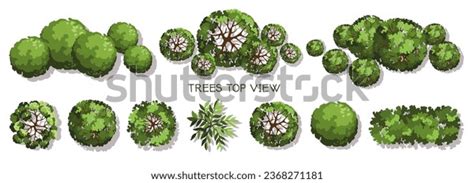 Shrubs Plan Over 1 673 Royalty Free Licensable Stock Illustrations And Drawings Shutterstock