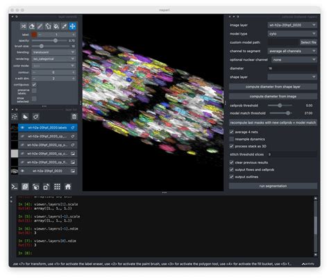 Cellpose Napari Produces What Looks Like An Orthogonal Label Layer