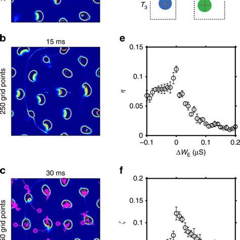 Spontaneous Coherent Activity With Criticality Reveals Long Range Download Scientific Diagram