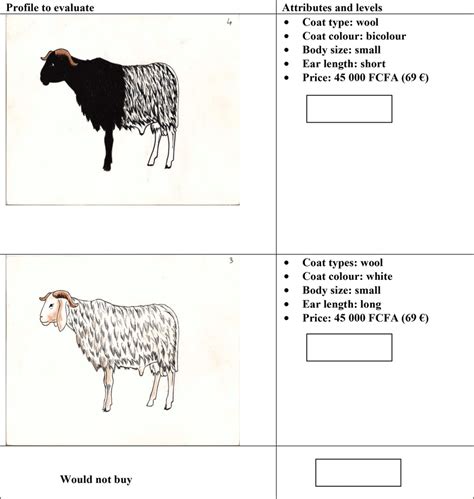 Example Of Pairwise Comparison Choice Card Source Illustrated By A Download Scientific Diagram