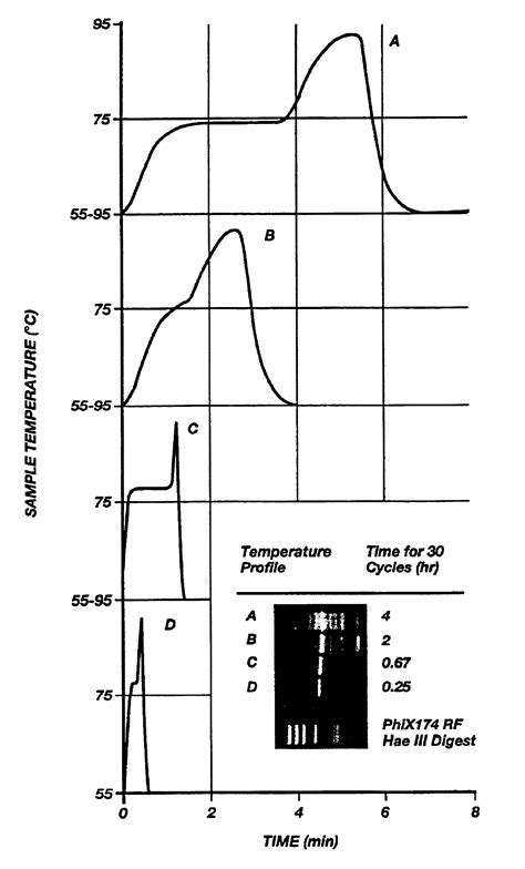 Method For Rapid Thermal Cycling Of Biological Samples Eureka Patsnap