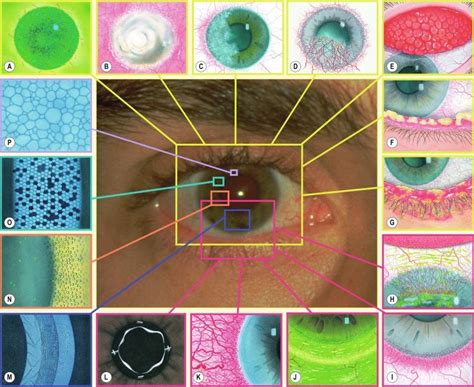 Grading Scales Clinical Tree