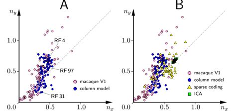 Distributions Of Rf Extensions Parallel And Orthogonal To The Rfs Wave