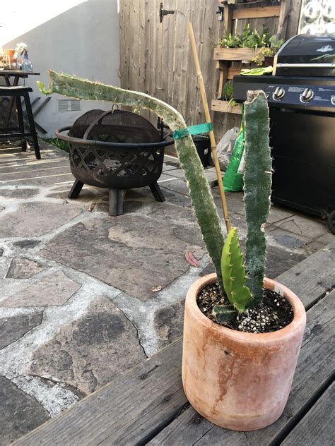 Seeking Advice Re Tipping And Propping Scrolller