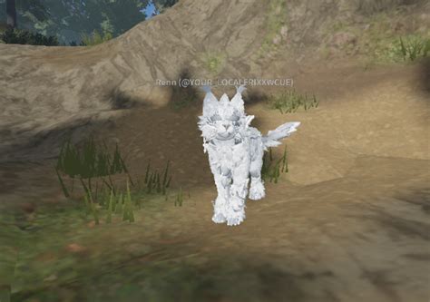 Wcue Starclan Oc Morph Idea Inspo Clan Stars