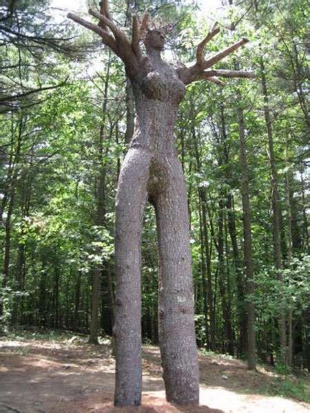 Tree Limb Art Tree Sculpture Weird Trees Tree