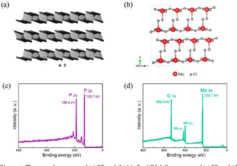 Figure 1 From Moo3 Interlayer Modification On The Electronic Structure Of Co Bp Interface