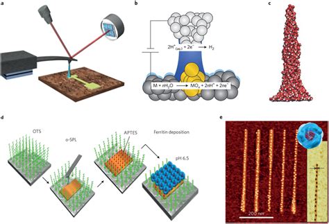 Oxidation Scanning Probe Lithography A The Oxidation Process Used In Download Scientific