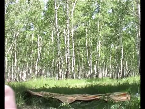 Free Non Stop Porn Videos Xhamster