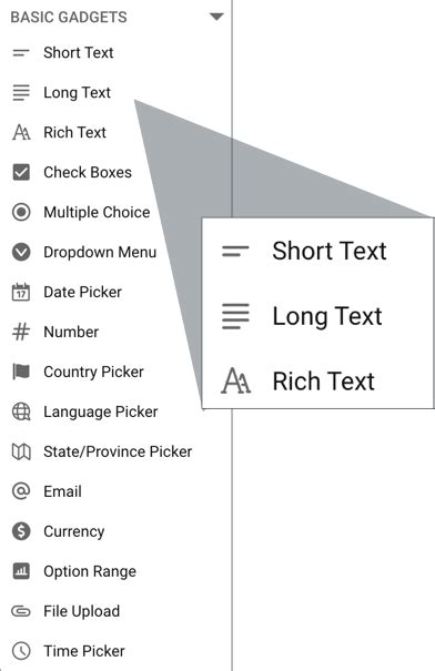 What Text Fields Are Available Kuali
