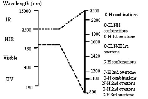 Principal Types Of Nir Absorption Bands And Their Locations [5] Download Scientific Diagram
