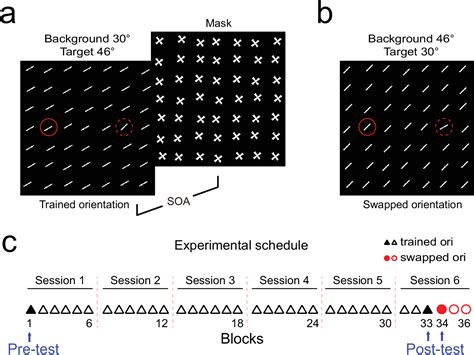 Figure 1 From Feature Variability Determines Specificity And Transfer