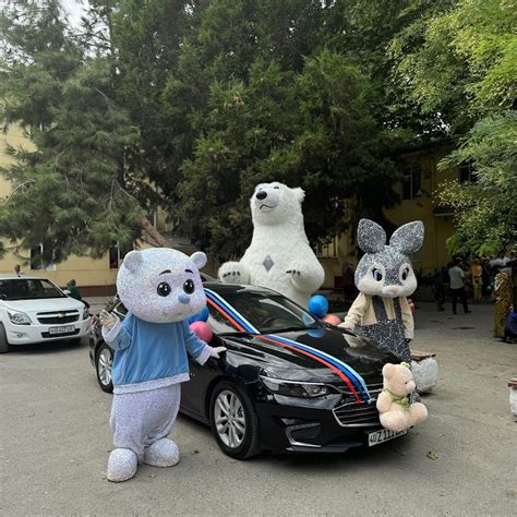 Shukrona Ayiqchalar Youtube