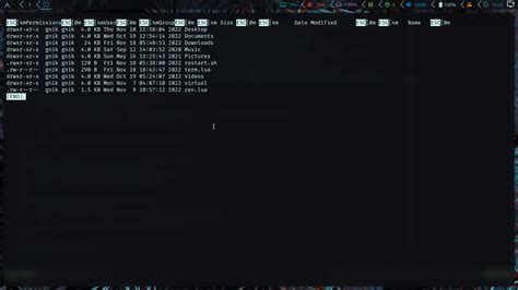 lsd l header doesn t filter ansi sequences · issue 775 · lsd rs lsd