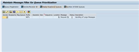 sxmsqueue sap tcode conf queue prioritization filter transaction code