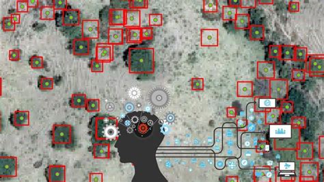 Geographic Information System On Linkedin Automatically Identify Trees In An Image In Arcgis