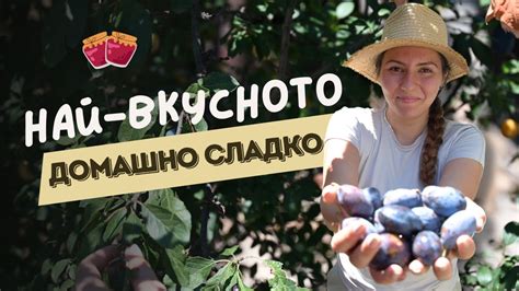 Домашно сладко от сини сливи Бързо лесно и вкусно Youtube