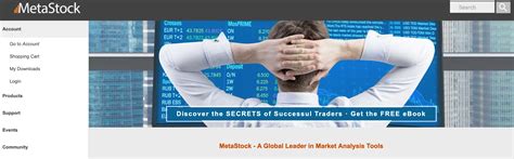 Best AI Trading Softwares To Automate Your Portfolio Samantha Brandon