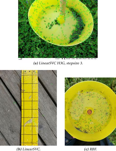 Figure A.3 from Detection of pests in agriculture using machine learning | Semantic Scholar
