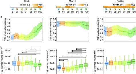Gene Activity Correlates With Tss Structural Embedding And Spanned Download Scientific Diagram