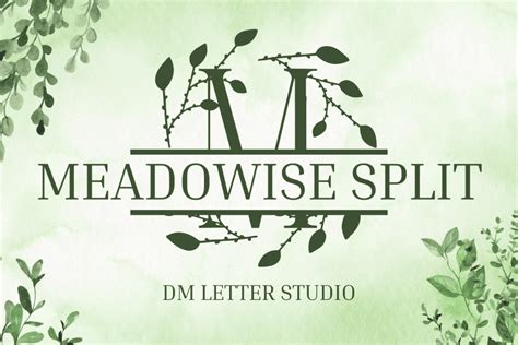1 Free Handwritten Split Monogram Font · 1001 Fonts