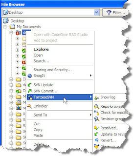 Coding With The Enemy Subversion Add Ins For Delphi