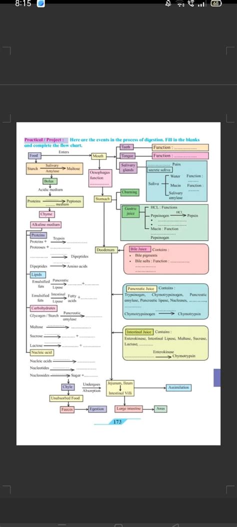 Complete The Digestion Process Flowchart By Filling In The Blanks Given