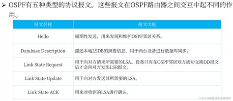 路由技术基础——ospf协议原理 csdn博客