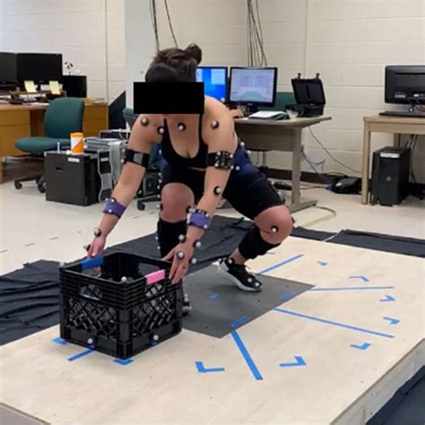 Lifting Full Body Lfb Opensim Model Download Scientific Diagram