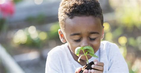 Ggj Tubes Hypergranulation Tissue