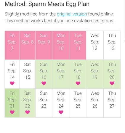 Sperm Meets Egg Plan...gimme your thoughts on it. Have you tried it? | BabyCenter