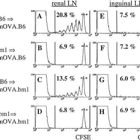Bone Marrow Derived Apc Activate Ot I Cells In The Draining Ln Of Download Scientific Diagram