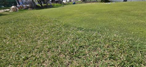 프라자골프클럽 Plazagolfclub Twitter