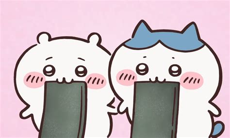 더쿠 [먼작귀] 다시마 과자 먹는 먼작귀들 Shorts