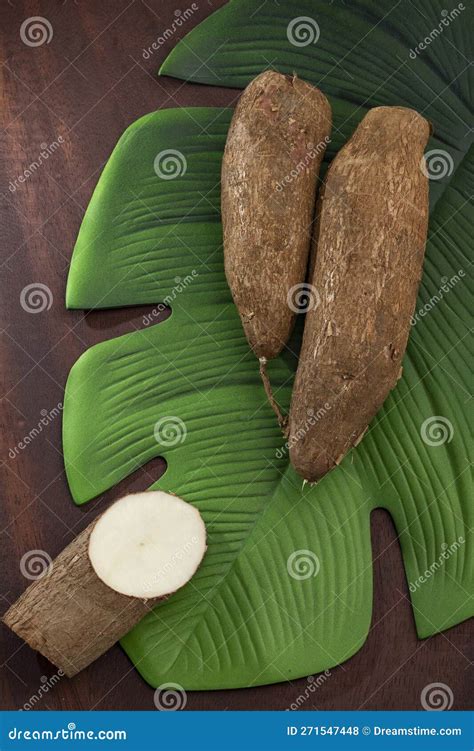Raw Organic Cassava Manioc Manioc Cassava Brazilian Cuisine Royalty