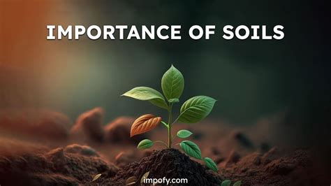 Importance Of Soils Impofy