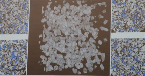 Deep Learning Methods Improve Microfossil Segmentation And Analysis Siam