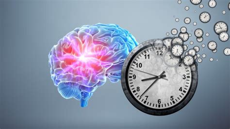Brain Boosters Enhancing Cognitive Processing Through Reaction Time