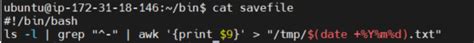 bash shell script