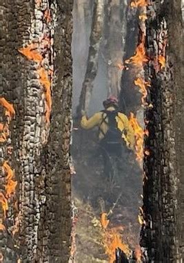 Clackamas Fire On Twitter With Only 2 Days Of Nice Weather Clackamas