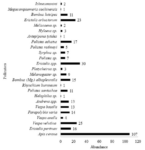 Pollinator Species Abundance Download Scientific Diagram