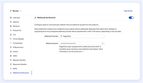 Secure Developer Productivity Ngrok Documentation