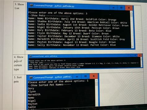Solved Objectives Practice Using Files And Classes In Chegg