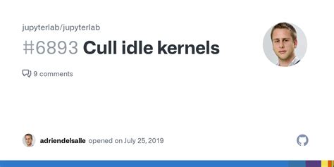Cull Idle Kernels · Issue 6893 · Jupyterlab Jupyterlab · Github